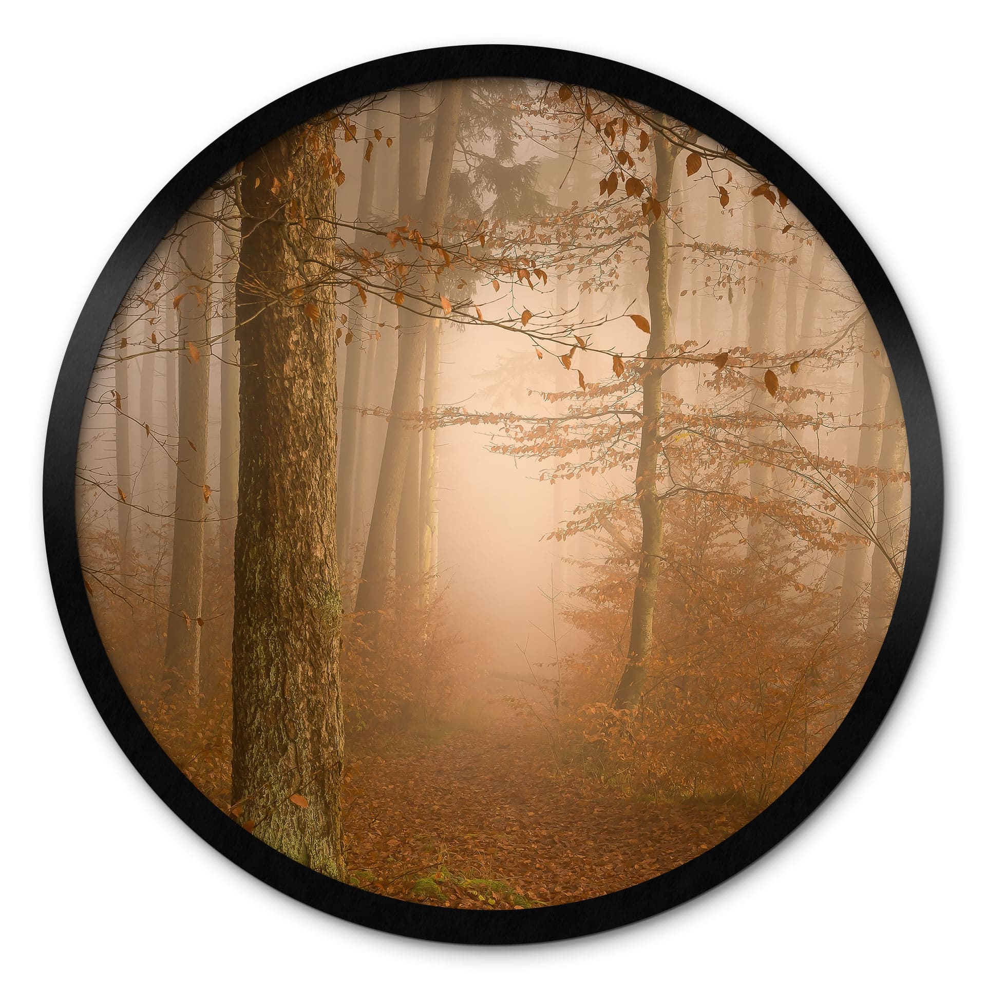 Poster dimma och ljus i höstskogen - Maier - Round | wall-art.se